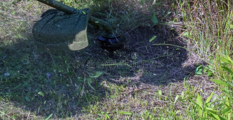 A Man Cuts and Mows the Grass. Grass Cutting Work Stock Photo - Image ...