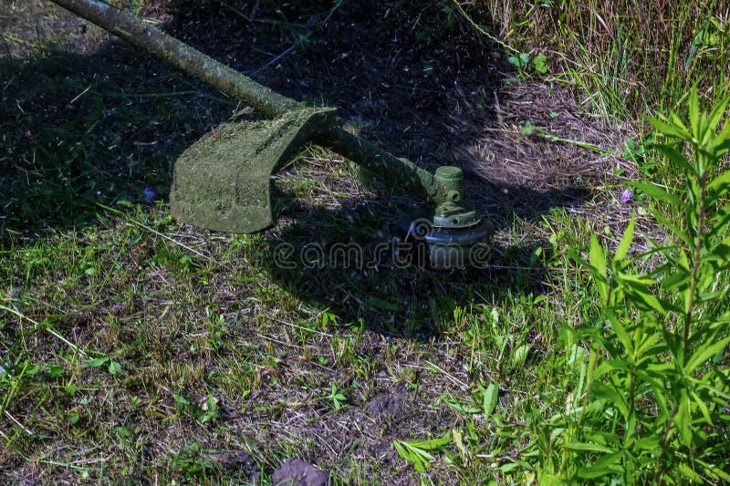 A Man Cuts and Mows the Grass. Grass Cutting Work Stock Image - Image ...