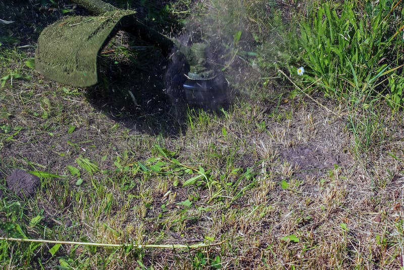 A Man Cuts and Mows the Grass. Grass Cutting Work Stock Image - Image ...