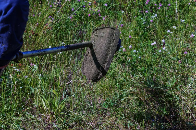 A Man Cuts and Mows the Grass. Grass Cutting Work Stock Image - Image ...
