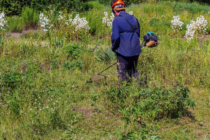 A Man Cuts and Mows the Grass. Grass Cutting Work Stock Image - Image ...