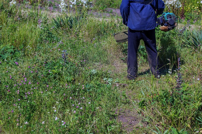 A Man Cuts and Mows the Grass. Grass Cutting Work Stock Image - Image ...