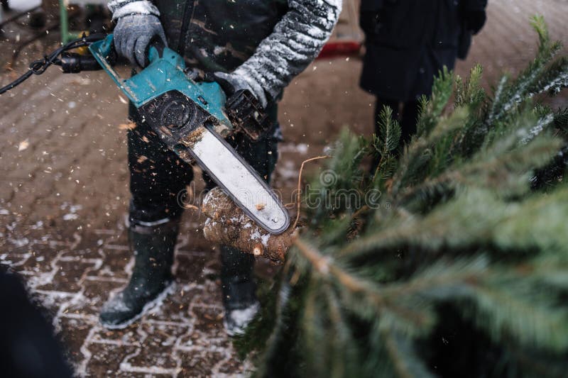 Man Cuts a Part of the Trunk from a Christmas Tree with a Chainsaw ...