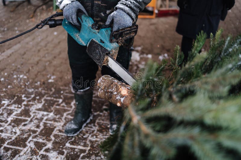 Man Cuts a Part of the Trunk from a Christmas Tree with a Chainsaw ...