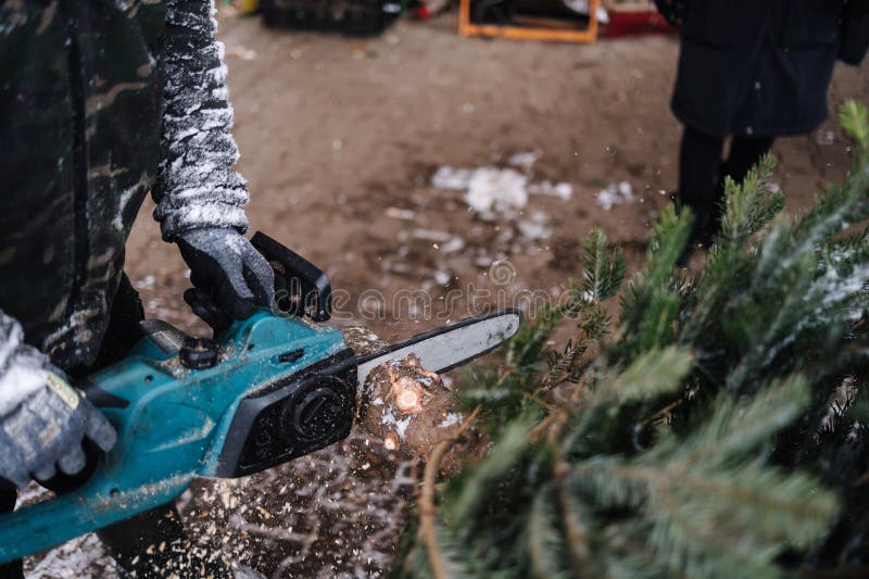 Man Cuts a Part of the Trunk from a Christmas Tree with a Chainsaw ...