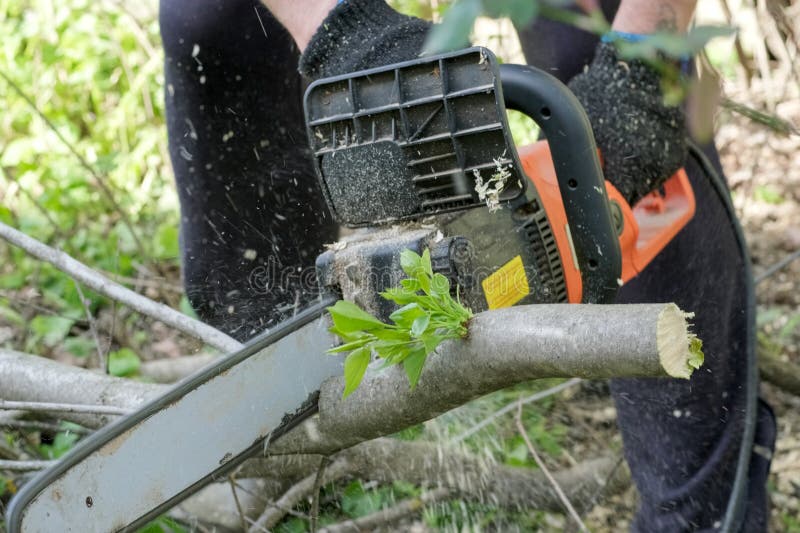 Man Cutting Branch with a Chainsaw. Person Cuts a Tree Stock Photo ...