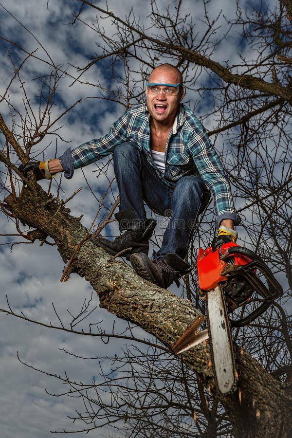 Image Man Sitting Branch Cutting Branch Stock Photos - Free & Royalty ...