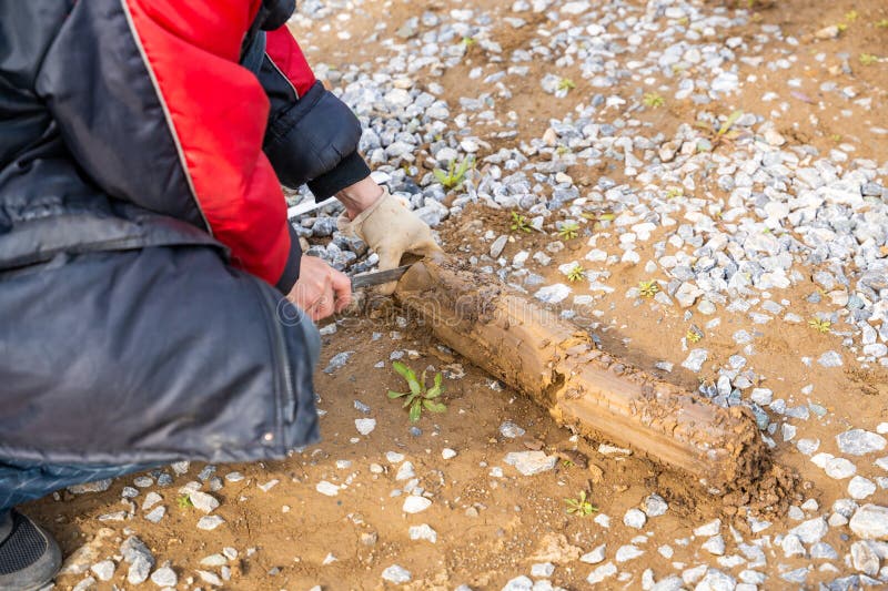 Man Cutting and Cleaning Soil Sample for Laboratory Analysis ...