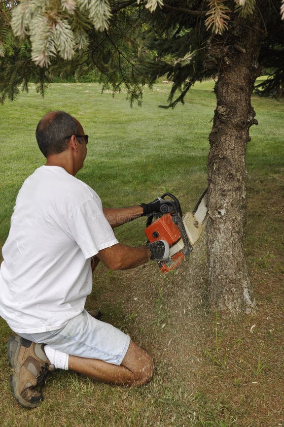 941 Man Cutting Down Tree Stock Photos - Free & Royalty-Free Stock ...