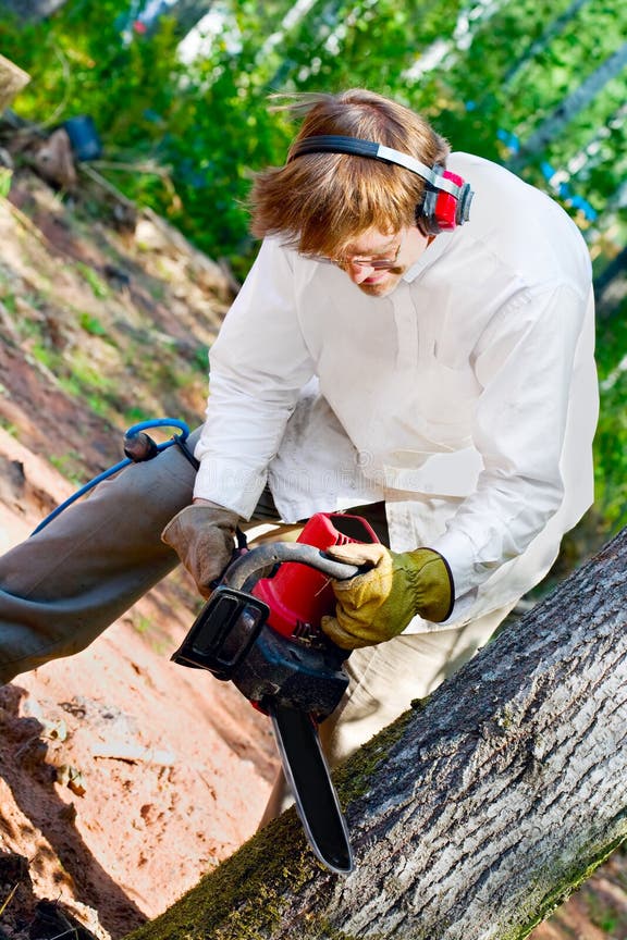 Man Cutting Down a Tree with a Chainsaw Stock Photo - Image of lumber ...