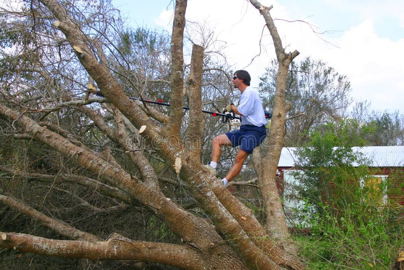 905 Man Cutting Down Tree Stock Photos - Free & Royalty-Free Stock ...