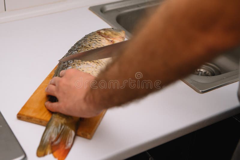 Man Cutting Fresh Fish in Kitchen in Home. Man Butchering Fish for Cook ...