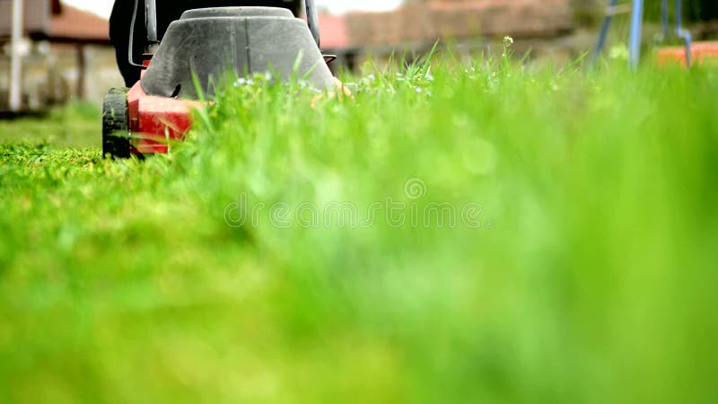 Cutting Grass on a Riding Lawn Mower Slow Motion Passing Leaves Side ...