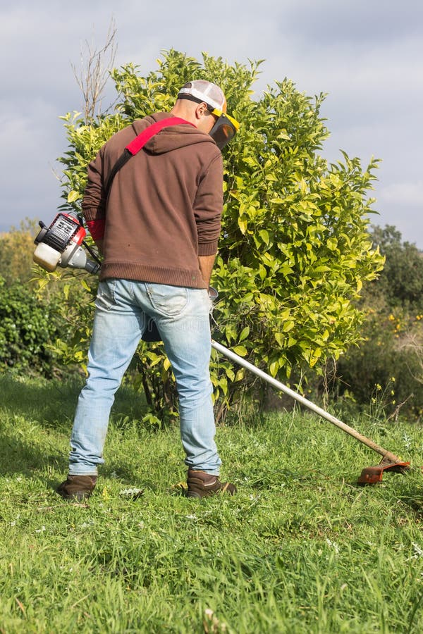 Man cutting grass stock image. Image of green, sunny - 50555417