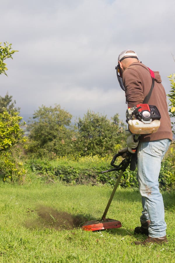 Man cut grass stock image. Image of gardener, vertical - 50555439