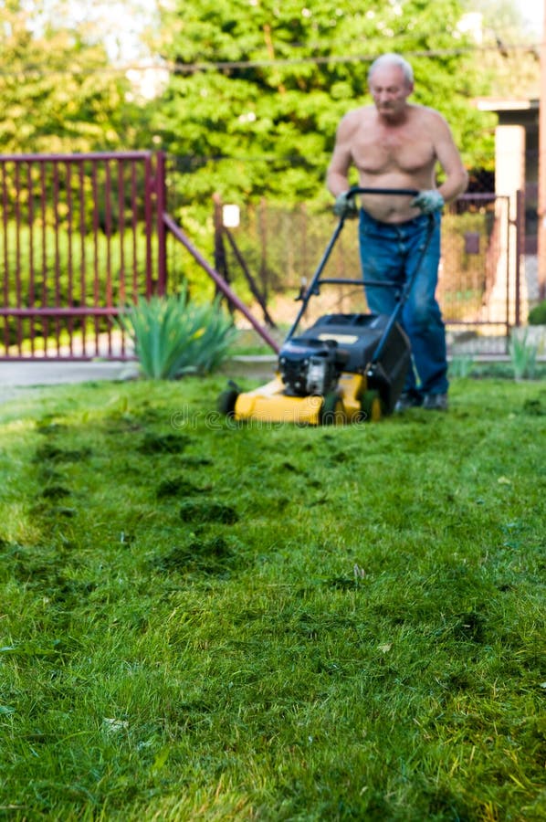 Man Cutting Grass with the Mower Stock Image - Image of gardener ...