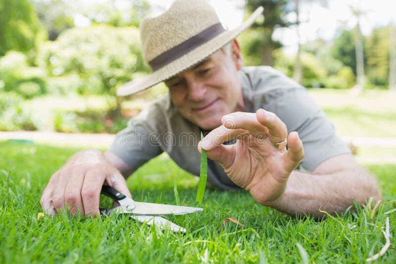 Man Cutting Grass with Scissors Stock Image - Image of farm, nursery ...