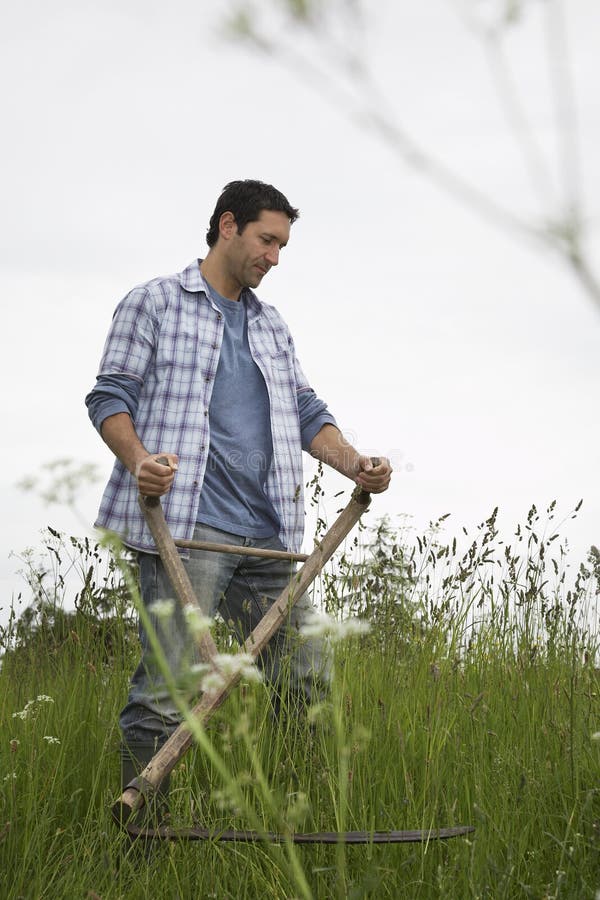 Man Cutting Grass Using Scythe in Field Stock Image - Image of years ...