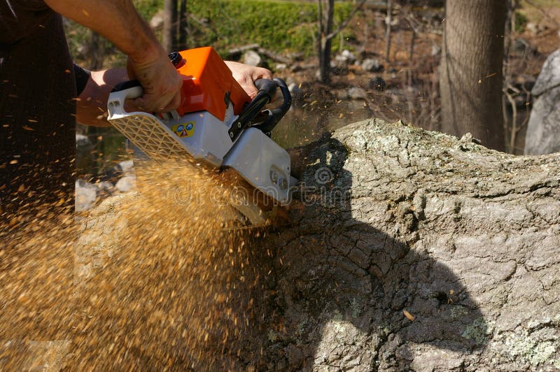 Man Cutting Log stock photo. Image of power, chainsaw - 13561694