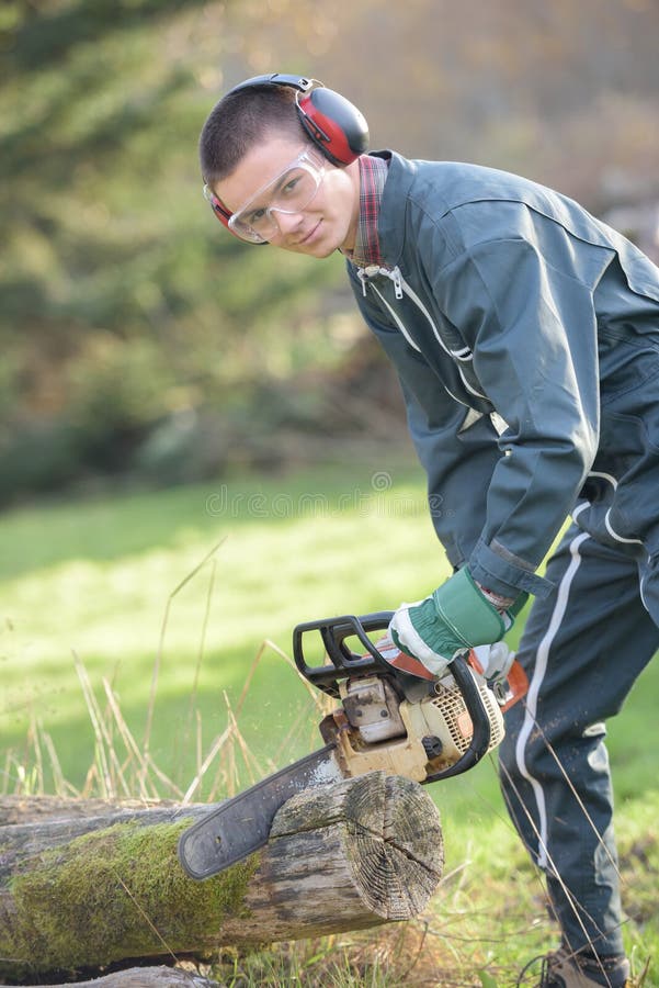 Man cutting a log stock image. Image of logging, grading - 304133193