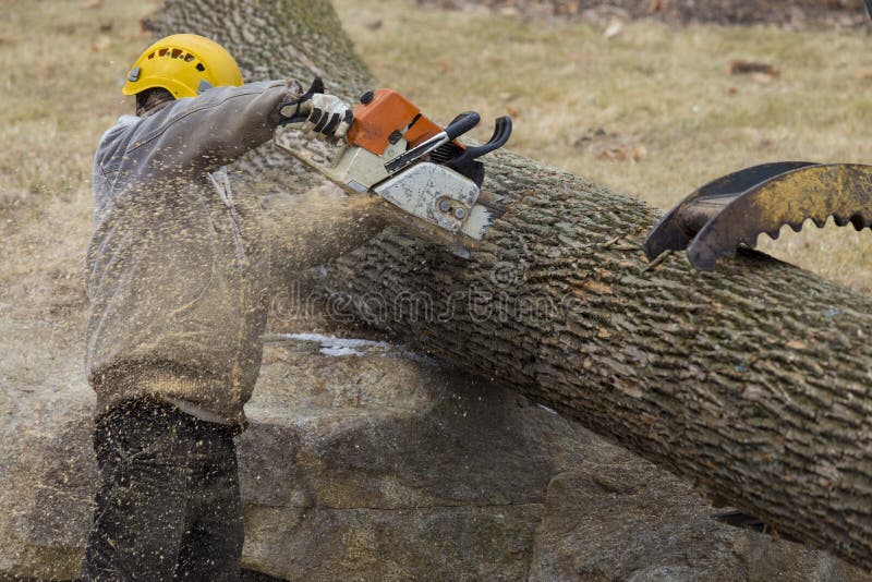 Log cutting stock photo. Image of fell, backyard, pile - 19567472