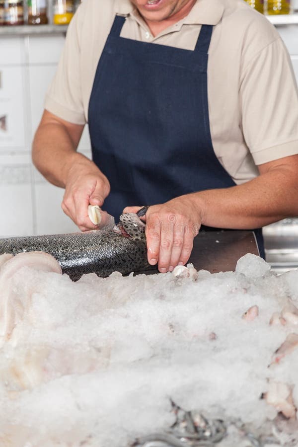 Man cutting pink salmon stock image. Image of fresh, fishing - 65089913