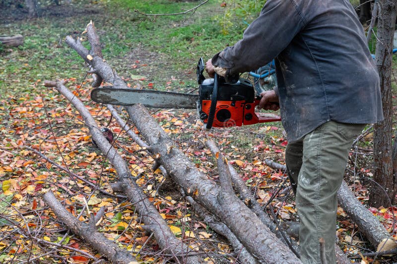 A Man Cutting a Tree with a Chainsaw Stock Image - Image of dust ...