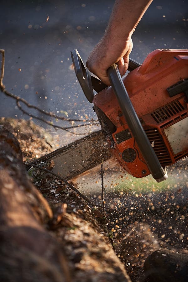 A Man Cutting Tree with Chainsaw. Stock Photo - Image of motion ...