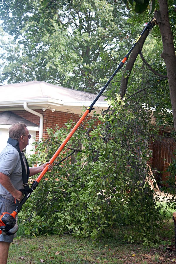 Man Cutting Tree Limbs stock image. Image of occupational - 39963035