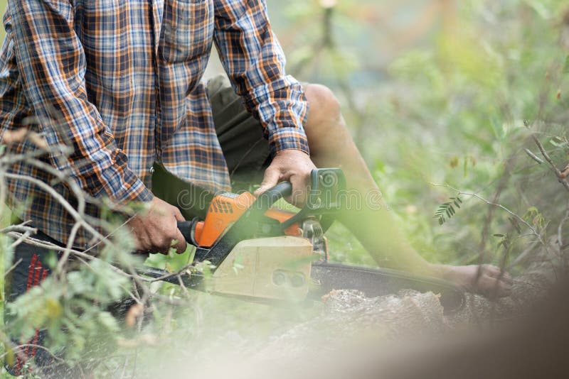 Man Cutting Trees Using an Electrical Chainsaw Stock Photo - Image of ...