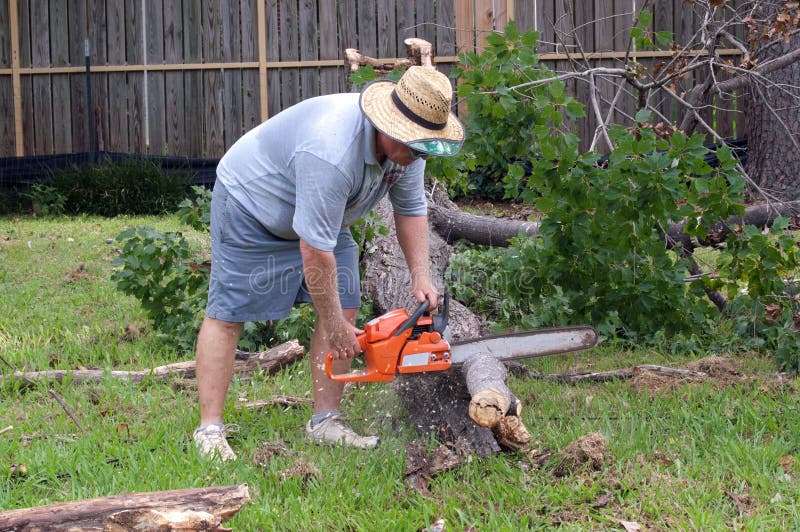 19,080 Man Up Tree Stock Photos - Free & Royalty-Free Stock Photos from ...