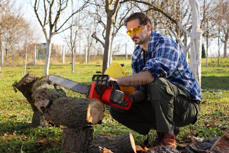 Man cutting a wood stock image. Image of sawdust, manual - 18359187