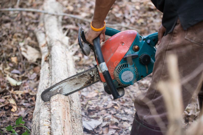 Man Cutting Wood With A Chainsaw Stock Image - Image of lumberjack ...