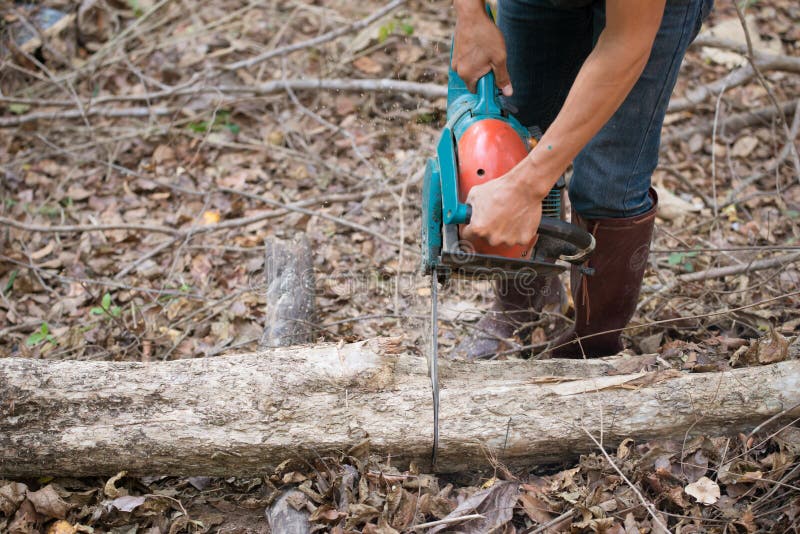 Man Cutting the Wood with Chainsaw Stock Photo - Image of cutting ...