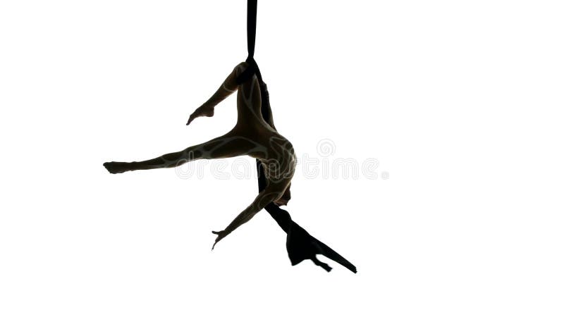 Man Dancer on Aerial Silk, Aerial Contortion Stock Video - Video of ...