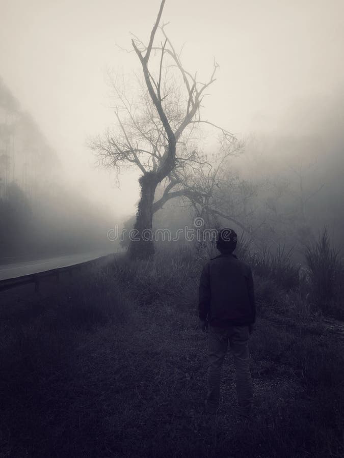 A Man Standing Looking at Dead Tree Cover by Fogs Stock Image - Image ...