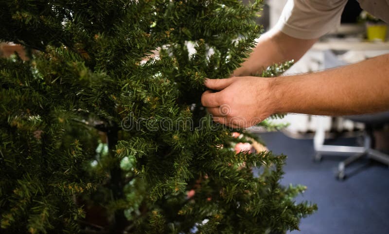 Man Decorates and Straightens the Christmas Tree Stock Image - Image of ...