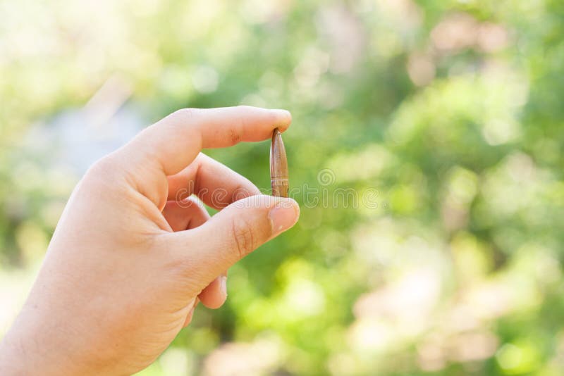 A Man Demonstrating a Bullet Stock Photo - Image of catch, bullet: 80701388
