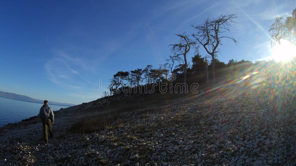 Man on the desert beach stock image. Image of winter - 84268081