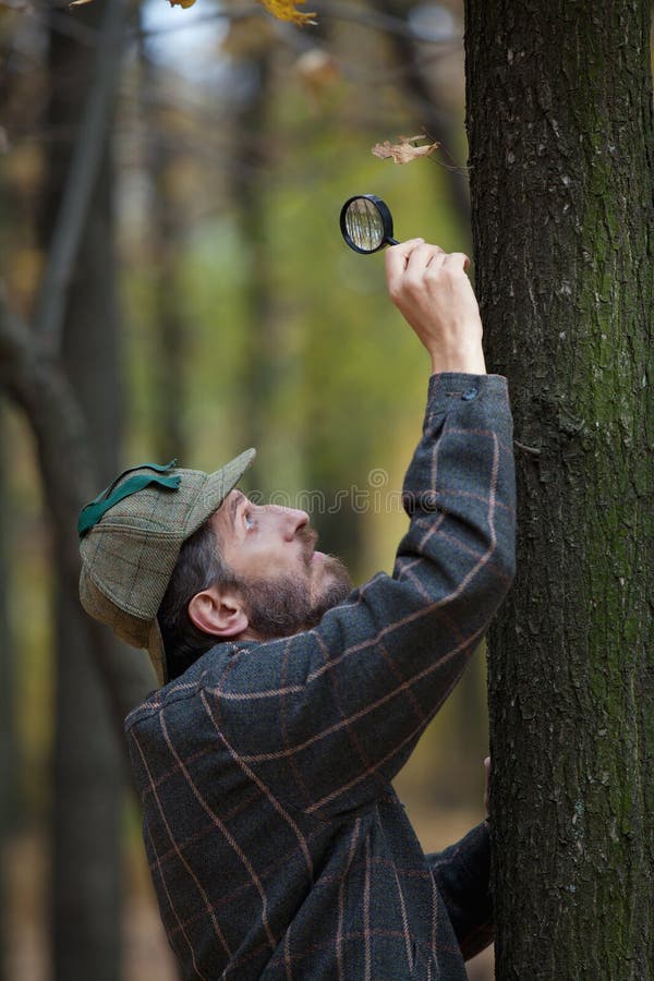 Man Detective with a Beard Studying Tree Trunk in Autumn Forest Stock ...