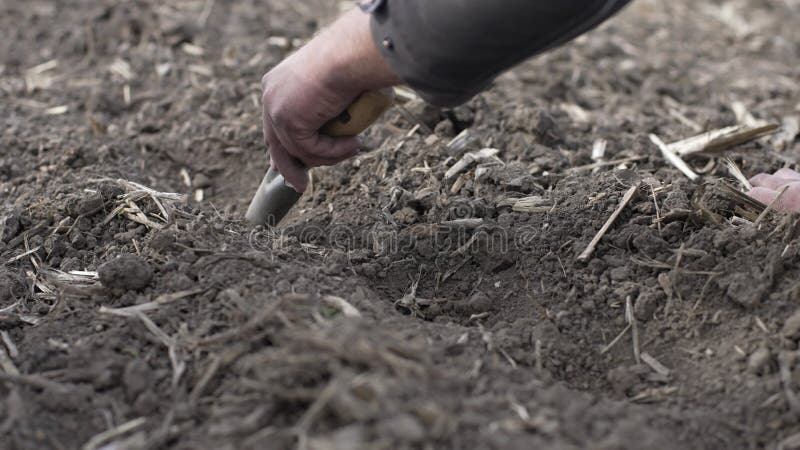 Man Digging Dirt with Shovel Stock Video - Video of digging, excavation ...