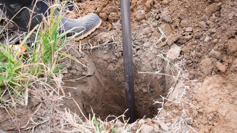 Man Digging Earth with a Shovel Stock Video - Video of summer, land ...