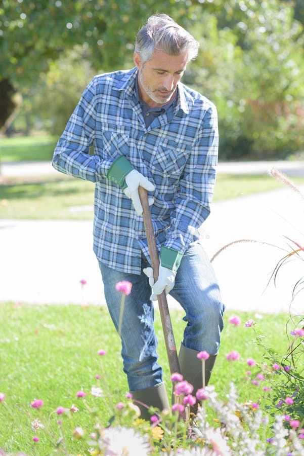 Man digging garden stock photo. Image of shovel, mature - 172816734