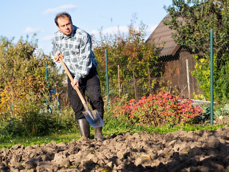 Man Digging the Garden Soil with Spade Stock Image - Image of people ...
