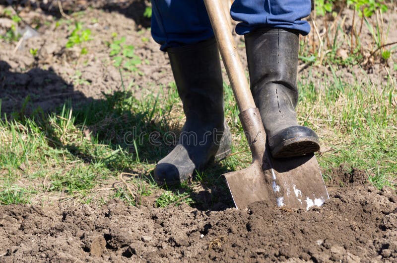 Man Digging Ground in the Garden for Plants Stock Image - Image of ...