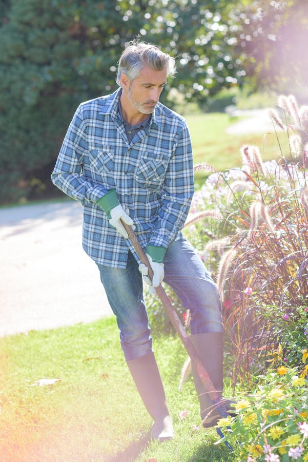Man digging on garden stock image. Image of park, plant - 247461973