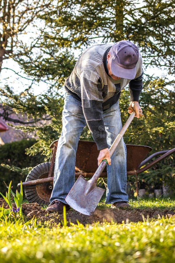 413 Old Man Digging Garden Stock Photos - Free & Royalty-Free Stock ...