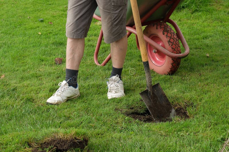 Man Digging a Hole with a Shovel Stock Photo - Image of ground, soil ...
