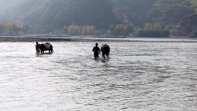 Man Digging and Loading Sand from the River Early in the Morning Stock ...