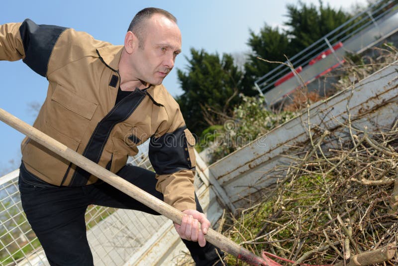 Man digging for project stock image. Image of contract - 99253943